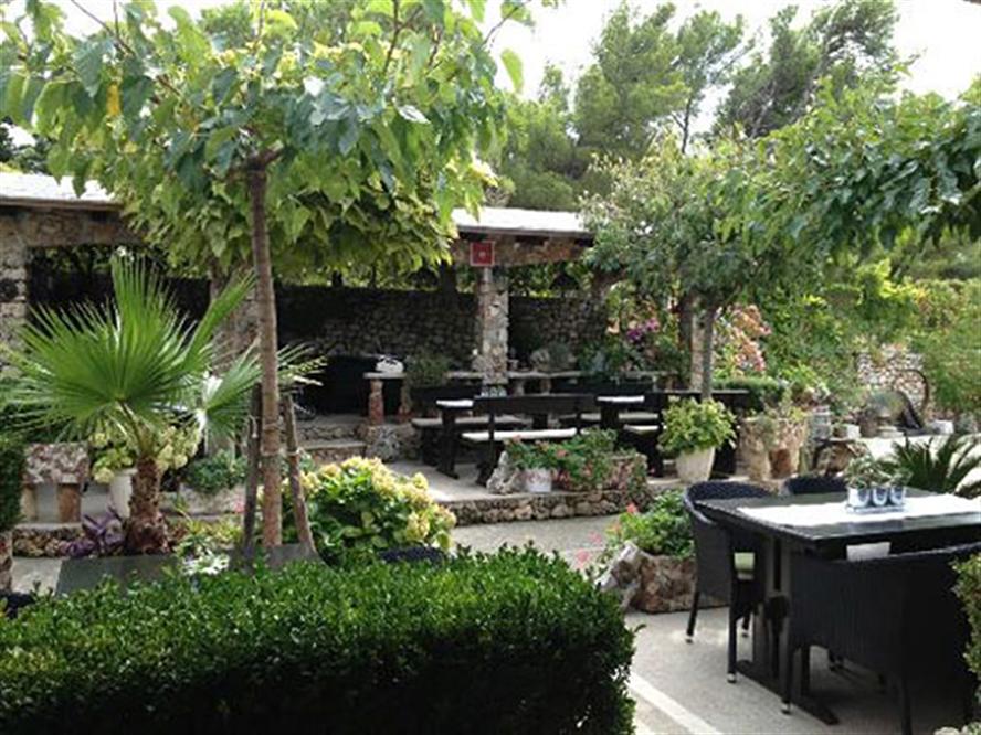 Restoran Konoba Mali Raj Bol - otok Brač - stvari za raditi Bol - otok Brač