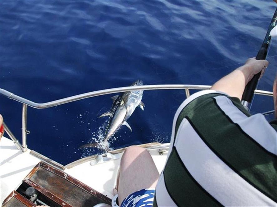 Fešta Big Game Fishing Jezera - otok Murter - stvari za raditi Jezera ...