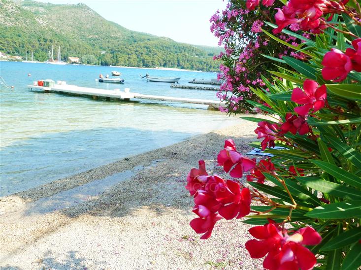 Slano (Dubrovnik) - tourist guide