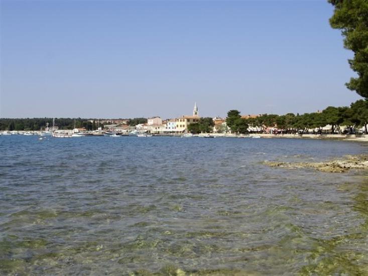 Volete visitare Fasana (Fazana)? | Guida turistica