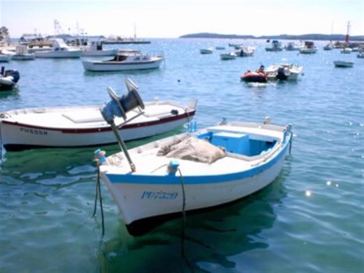 Volete visitare Fasana (Fazana)? | Guida turistica