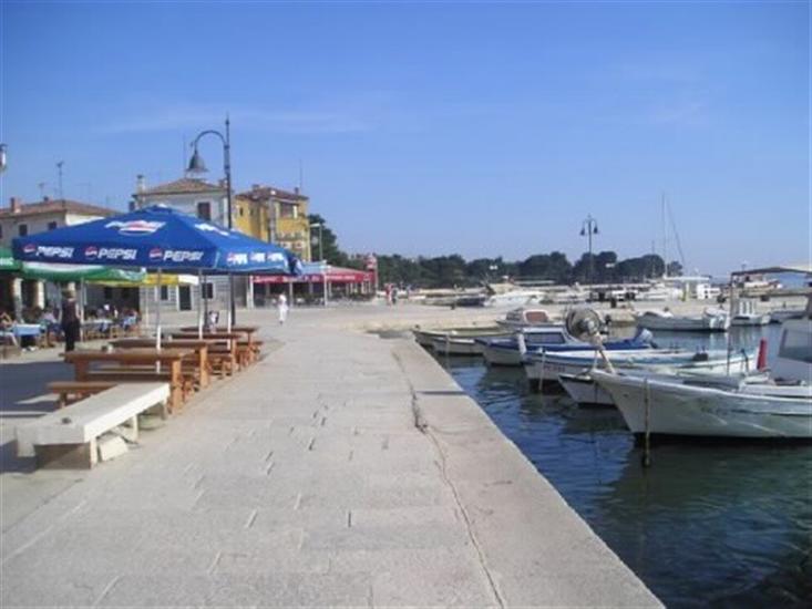 Volete visitare Fasana (Fazana)? | Guida turistica