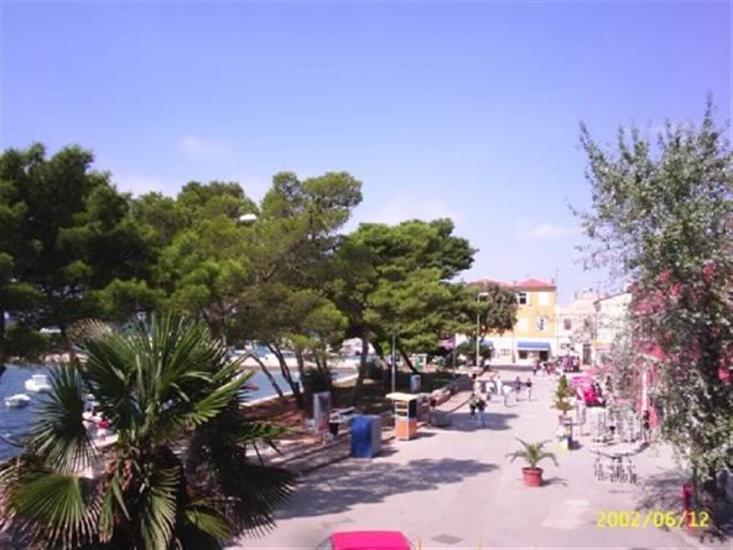 Volete visitare Fasana (Fazana)? | Guida turistica