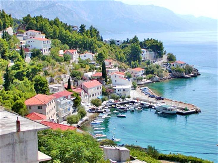 Chcecie odwiedzić Mimice? | Przewodnik Turystyczny