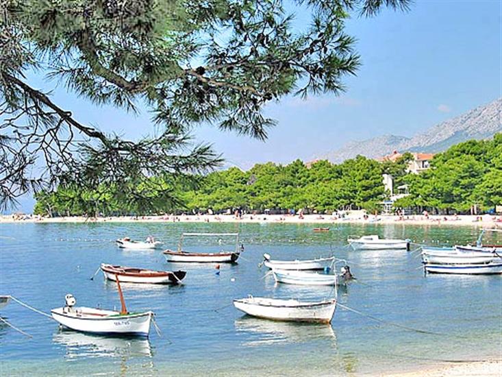 Promajna - tourist guide