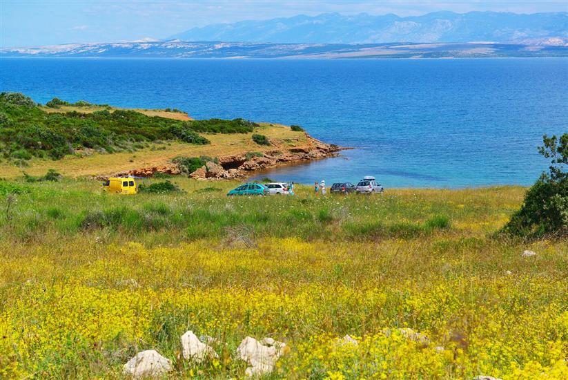 Želite posjetiti Vir - otok Vir? | Turistički vodič