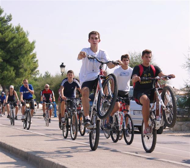 Vir - island Vir - tourist guide