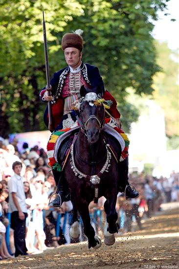 Volete visitare Sinj? | Guida turistica