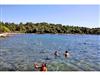 Lone Bay beach - Rovinj | Croatian beaches