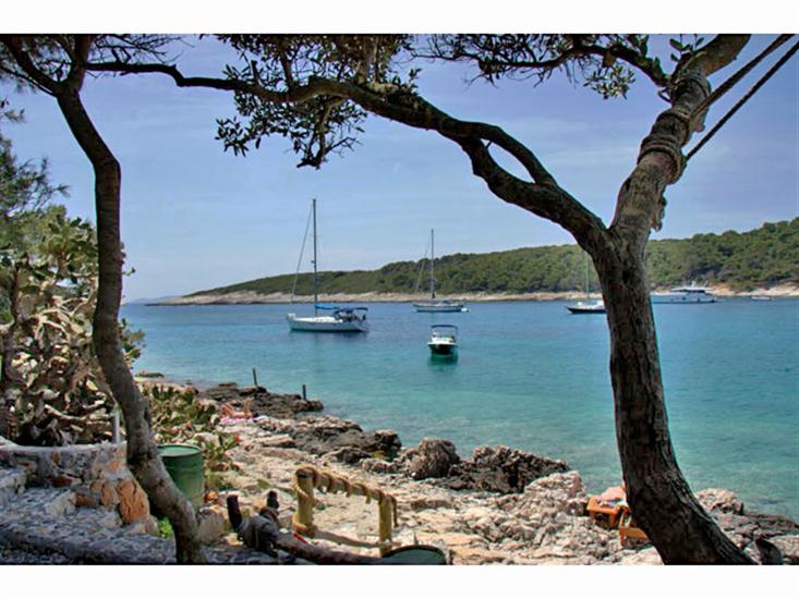Palmizana beach - Pakleni islands | Croatian beaches