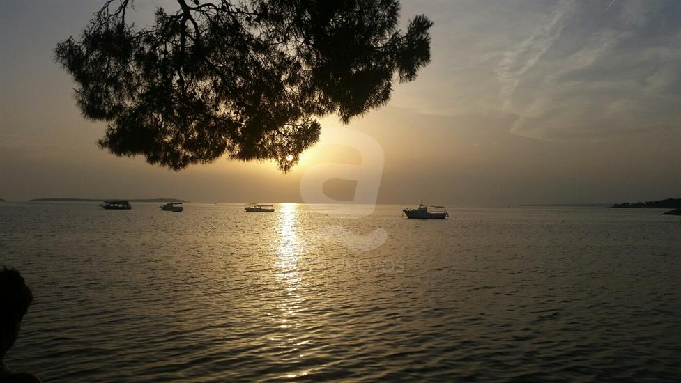 Volete visitare Fasana (Fazana)? | Guida turistica