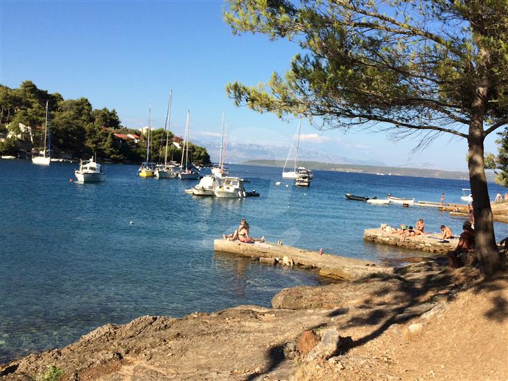 Rogac - island Solta - tourist guide