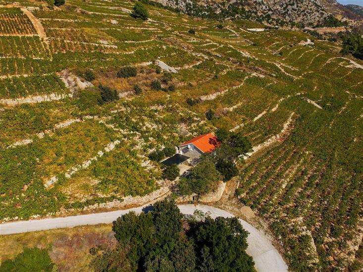 Namestitev Hiša Dingač 33552 Dingac Borak, namestitev Peljesac