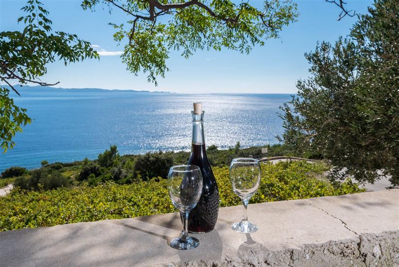 Namestitev Hiša Dingač 33552 Dingac Borak, namestitev Peljesac