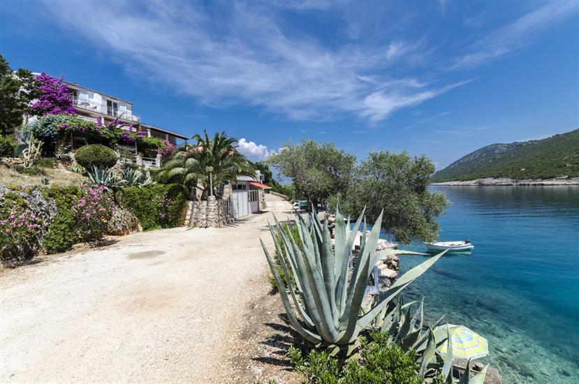 Szállások Apartmanok Dinko 37851 Gdinj - Hvar sziget, szállások Közép ...