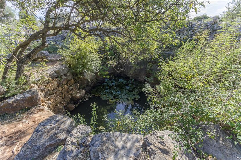 Želite posjetiti Lun - otok Pag? | Turistički vodič