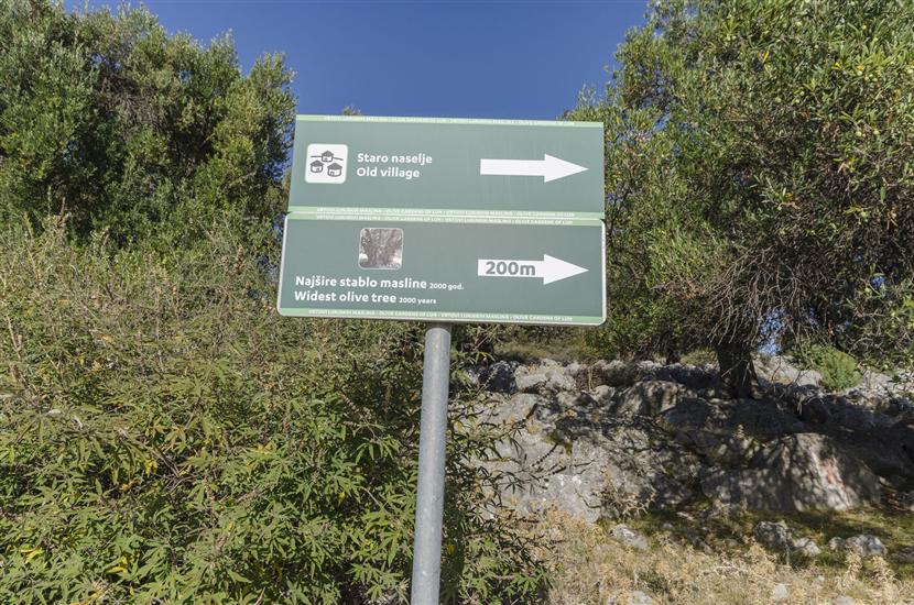 Chcete navštívit Lun - ostrov Pag? | Turistický průvodce