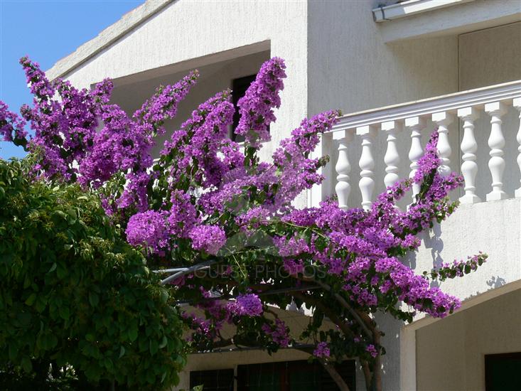 Sevid - tourist guide