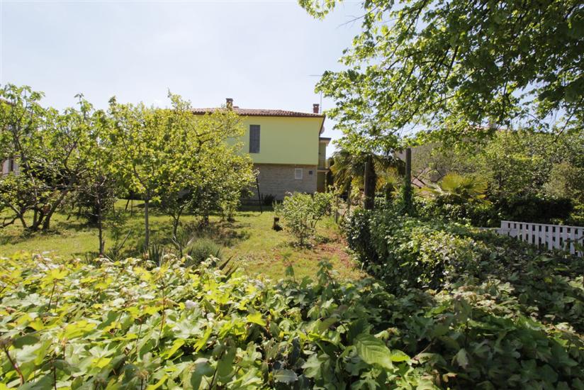 Ubytovanie Apartmán SEA STAR 94823 Umag, ubytovanie Modrá Istria