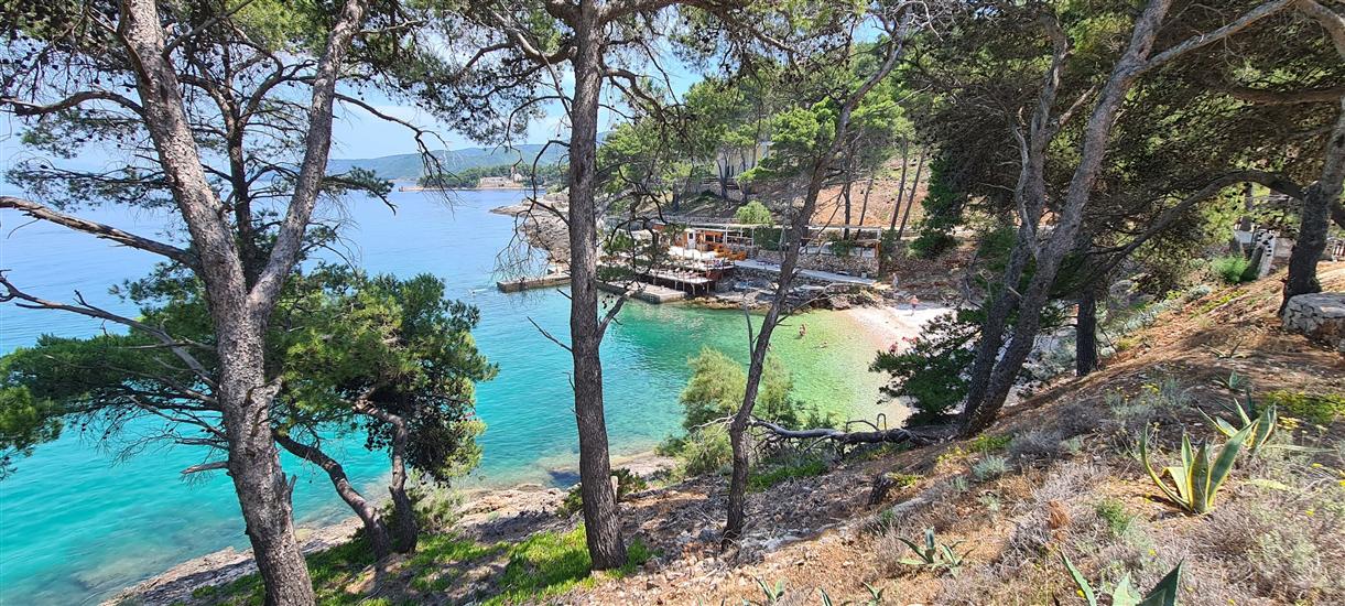 Boende Lägenheter och Rum Vitarnja 96651 Jelsa - ön Hvar, boende ...