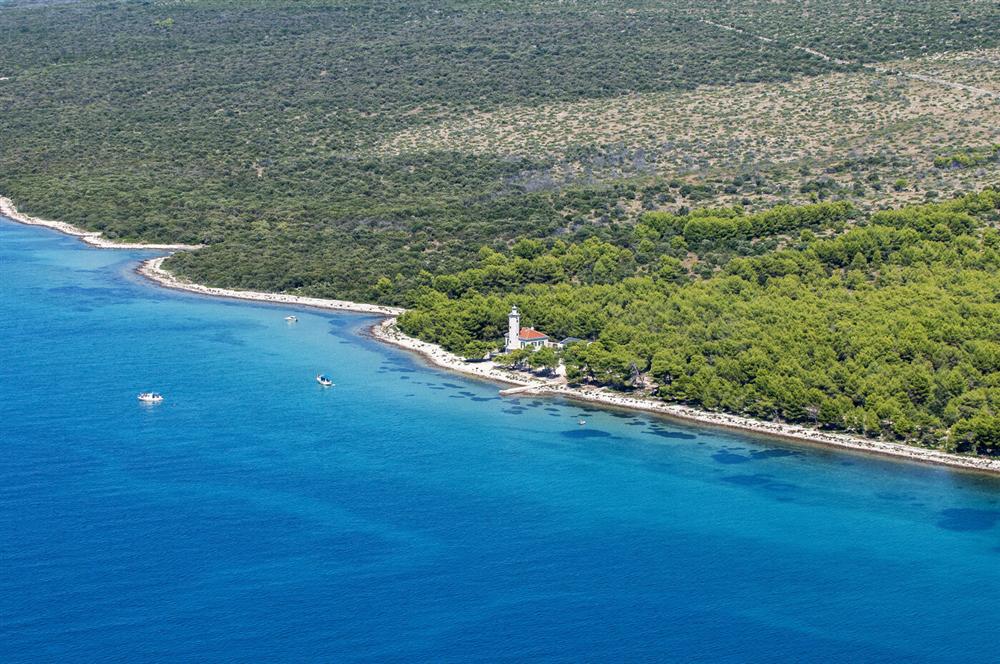 Vir - island Vir - tourist guide