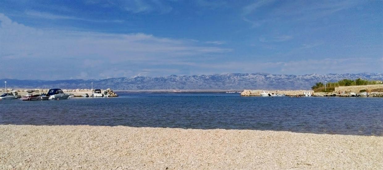 Beach Biskupljača Vir - island Vir - Tourist destination info - Beach ...