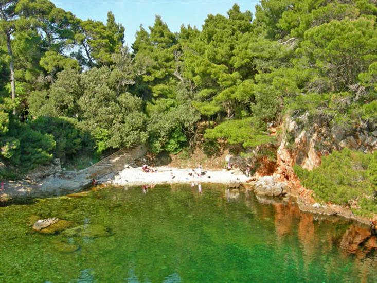 Plaża Lokrum - wyspa Lokrum | Plaże w Chorwacji